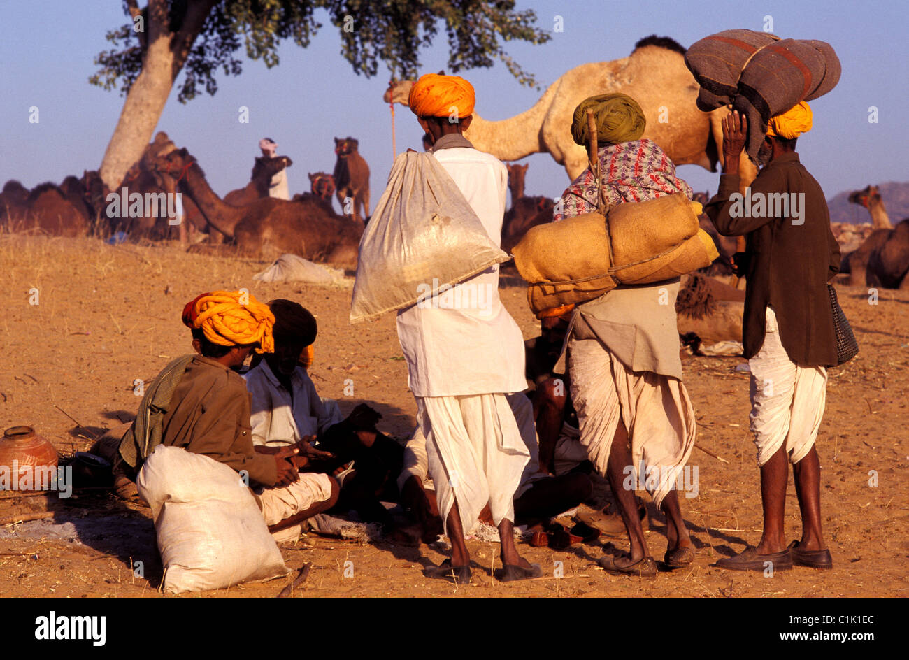 India, Rajasthan State, Pushkar, November Full Moon fair Stock Photo ...