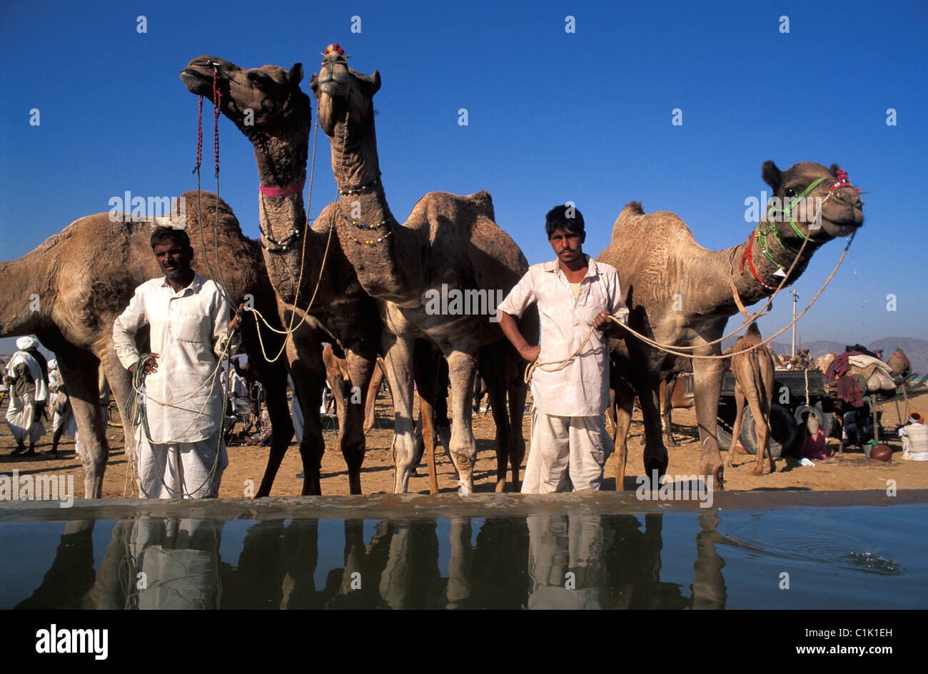 India, Rajasthan State, Pushkar, November Full Moon fair Stock Photo ...