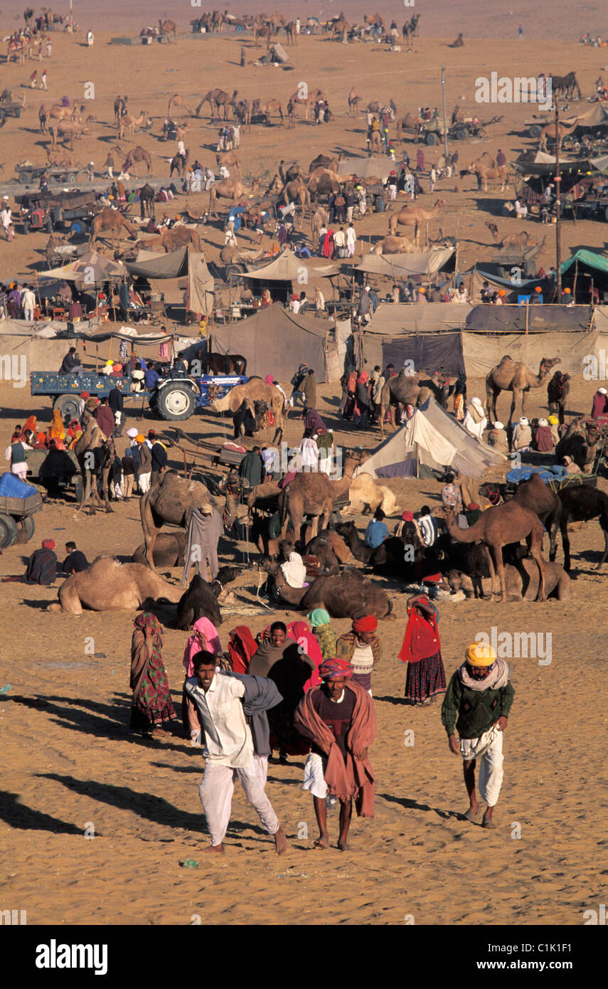 India, Rajasthan State, Pushkar, November Full Moon fair Stock Photo ...