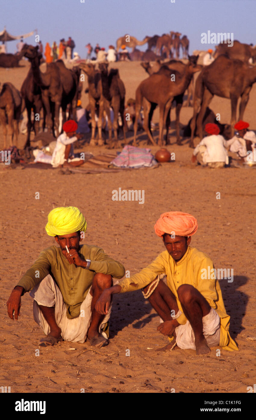 India, Rajasthan State, Pushkar, November Full Moon fair Stock Photo ...