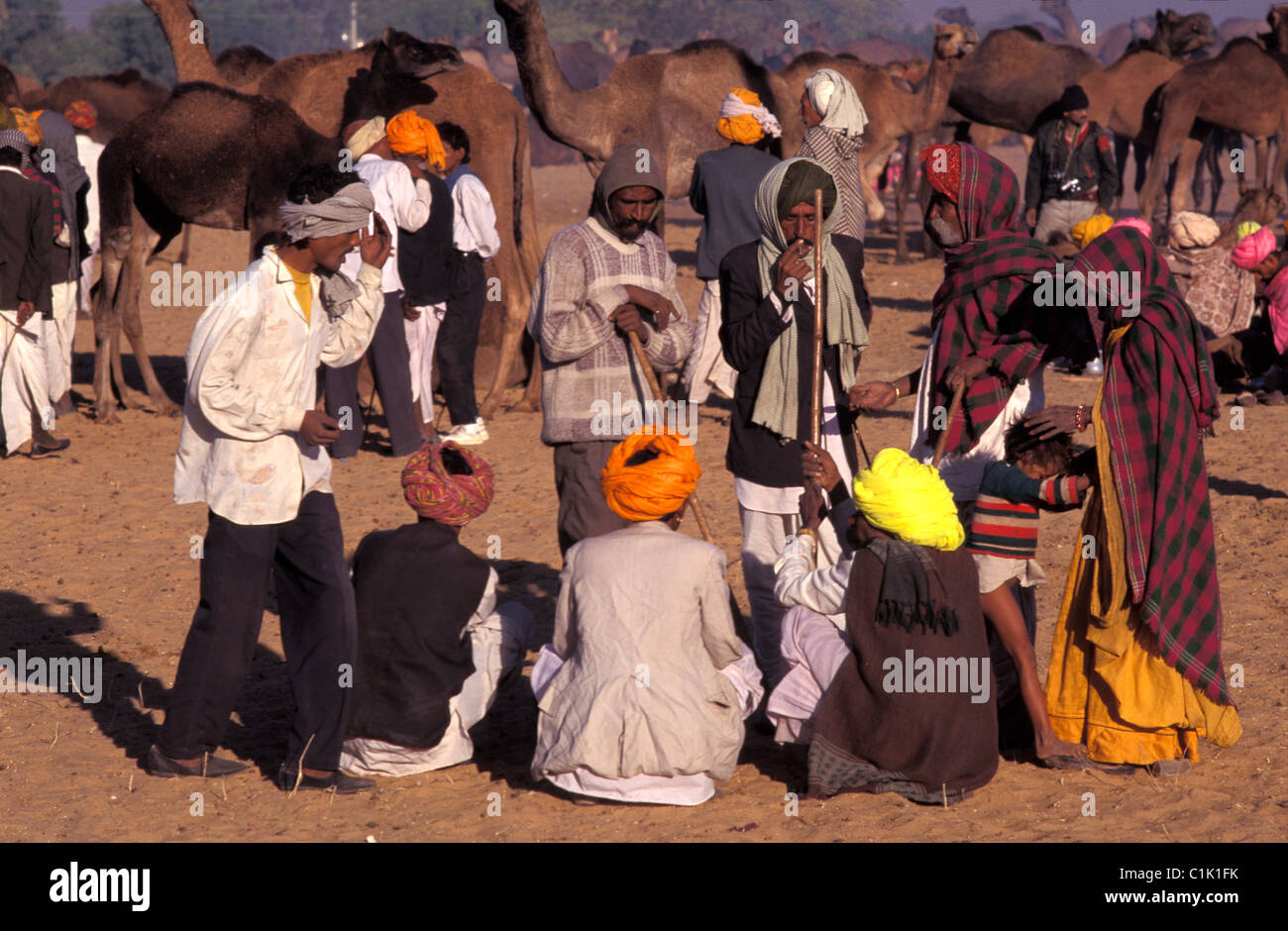 India, Rajasthan State, Pushkar, November Full Moon fair Stock Photo ...