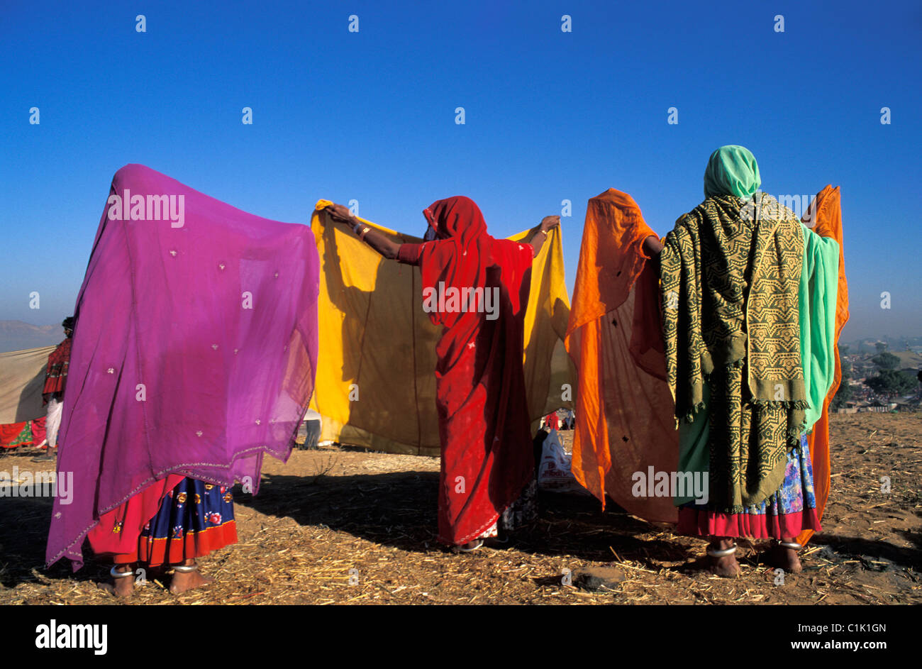 India, Rajasthan State, Pushkar, November Full Moon fair Stock Photo ...