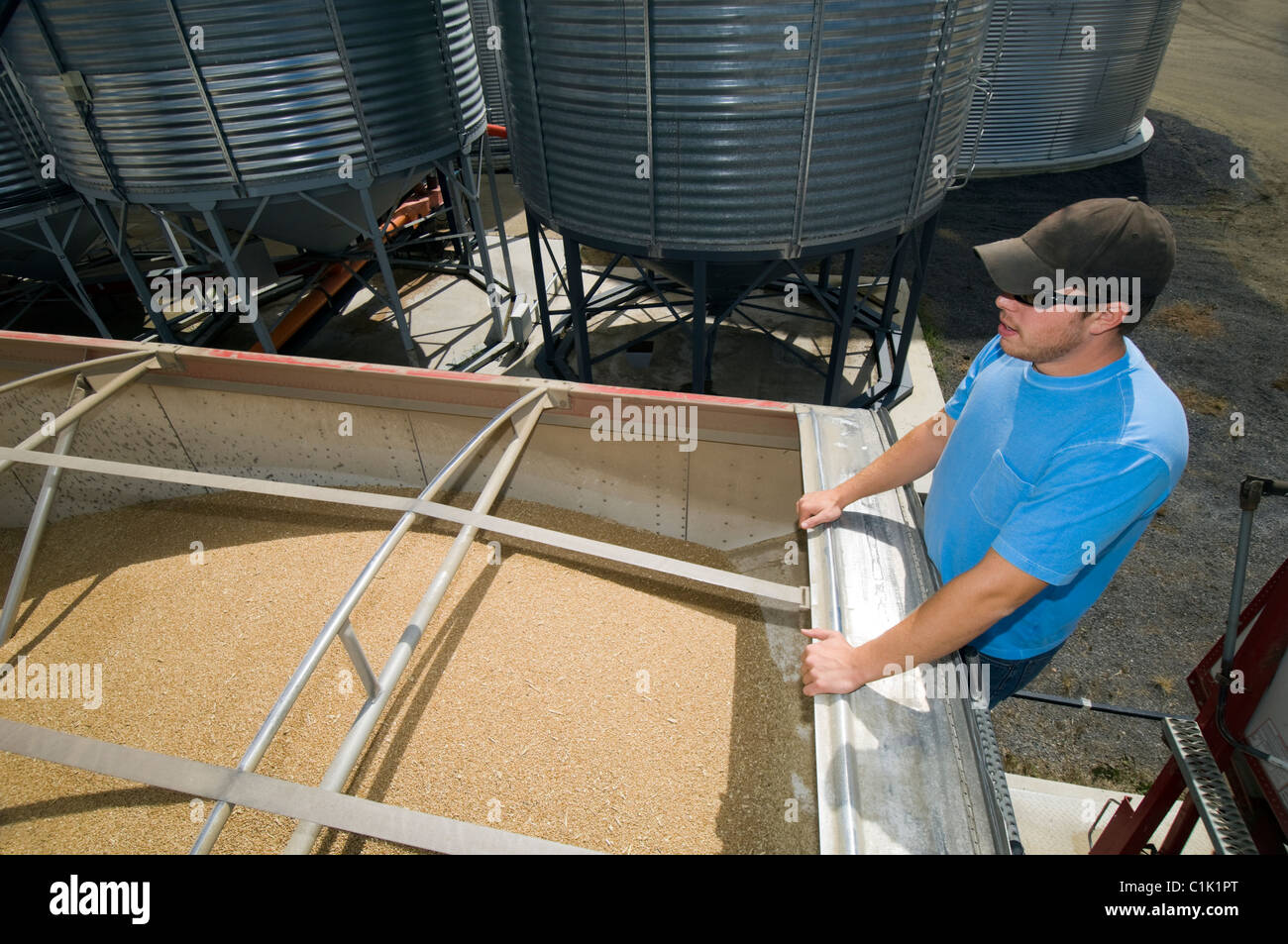 Truck Wheat High Resolution Stock Photography and Images - Alamy