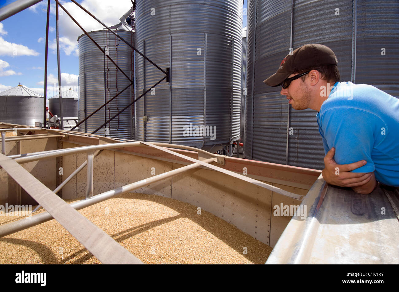 Loading grain hi-res stock photography and images - Alamy