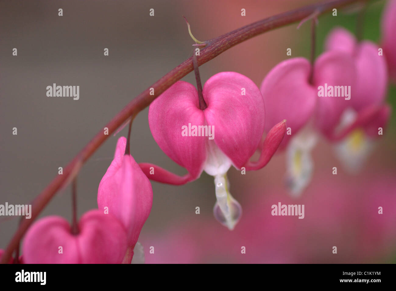 Welcome Sight Stock Photos & Welcome Sight Stock Images - Alamy
