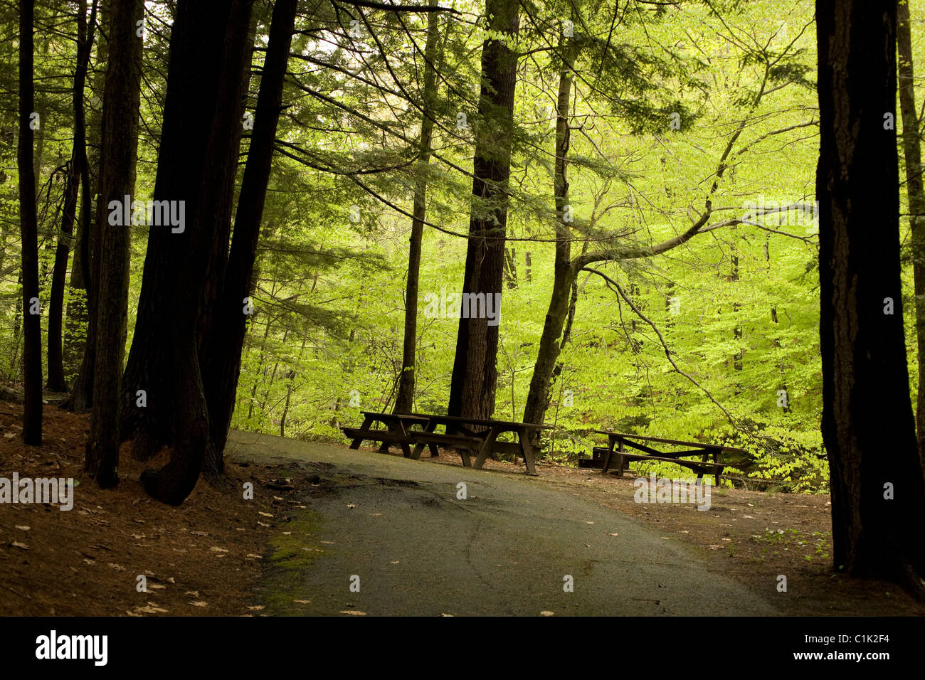 Roadside picnic area hi-res stock photography and images - Alamy