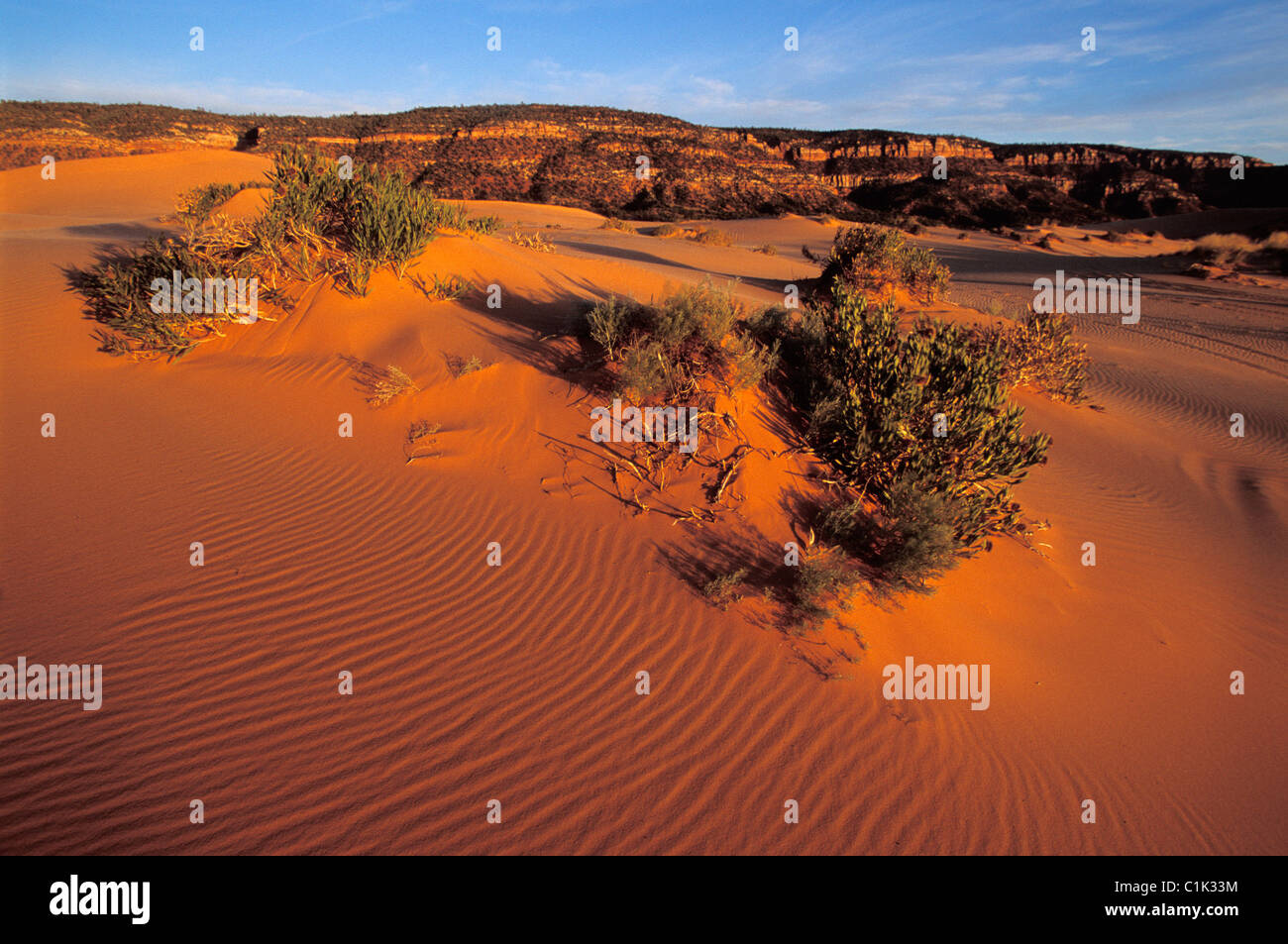 United States, Utah, Coral Pink Sand Dunes State Park Stock Photo - Alamy