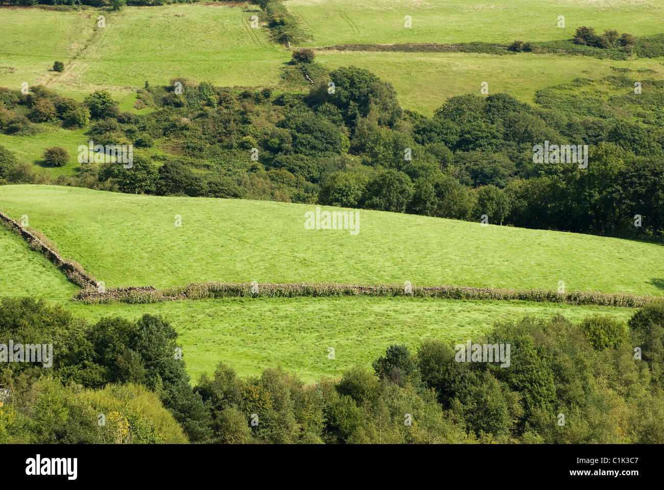 Open fields hi-res stock photography and images - Alamy