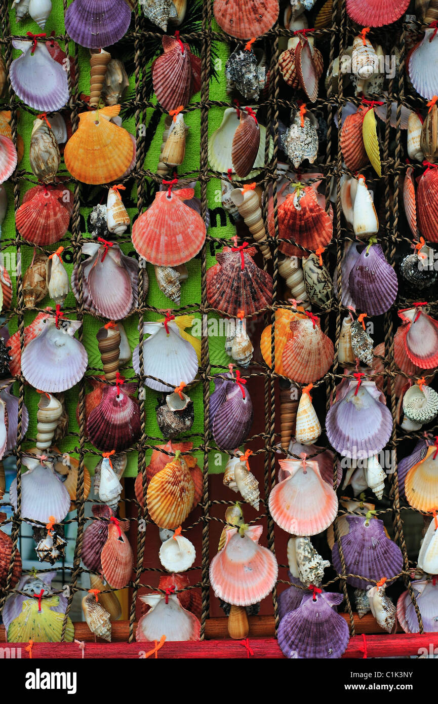 Decorative Arrangement of Sea Shells Moalboal Philippines Stock Photo ...
