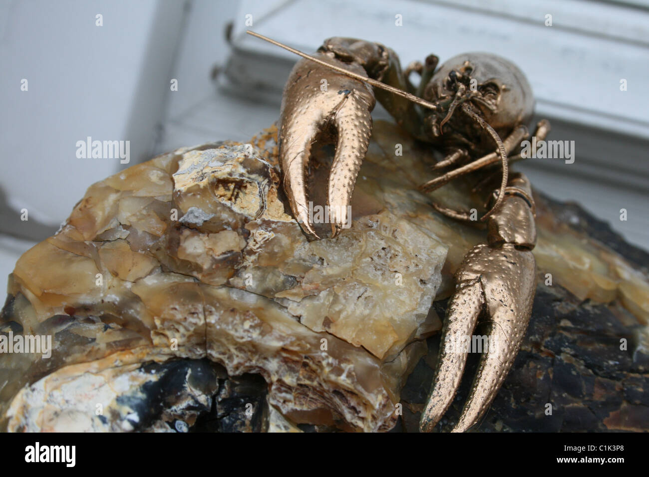 The golden creature from the sea Stock Photo - Alamy