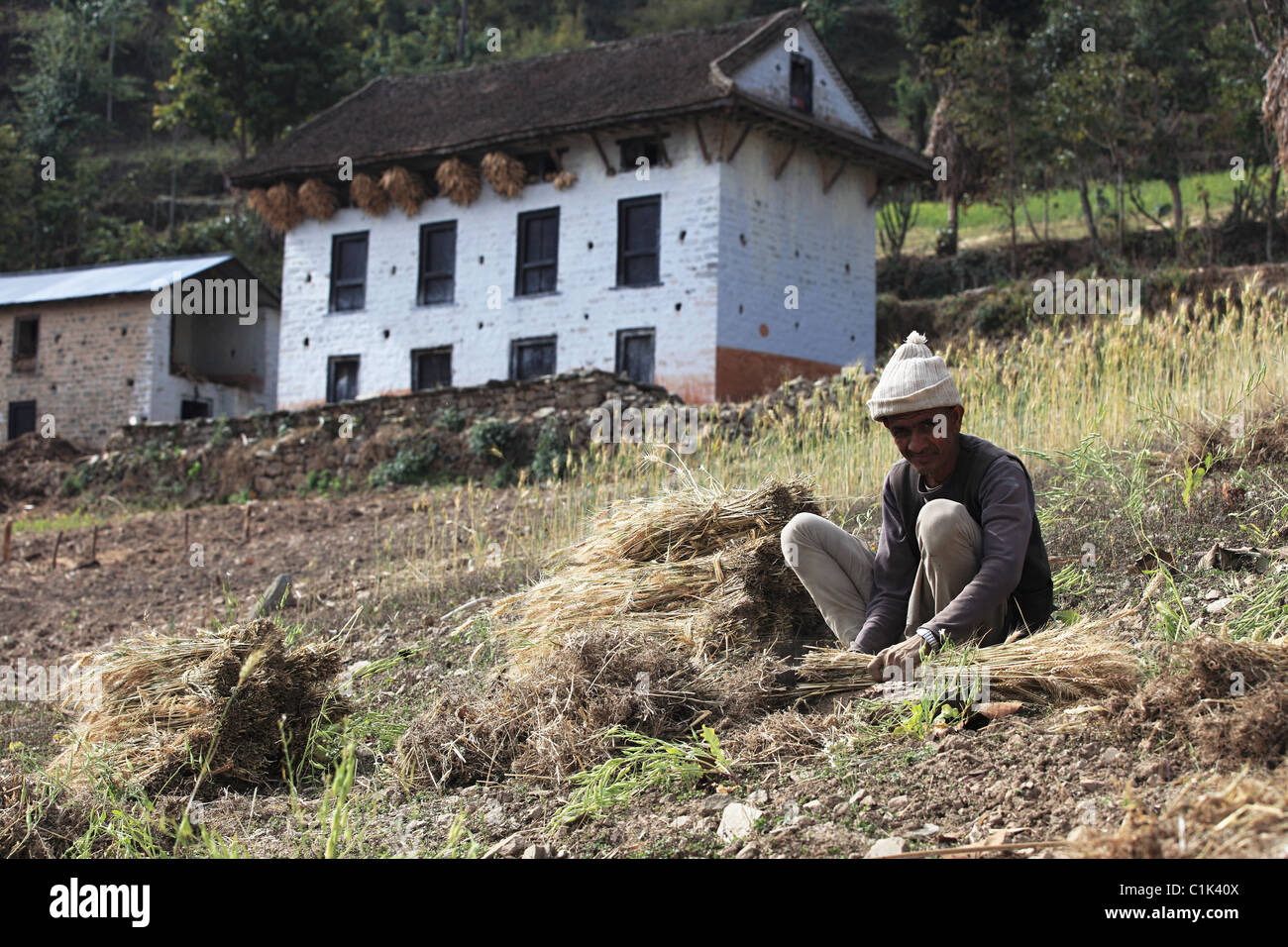 Nepali landscape Nepal Himalaya Stock Photo - Alamy