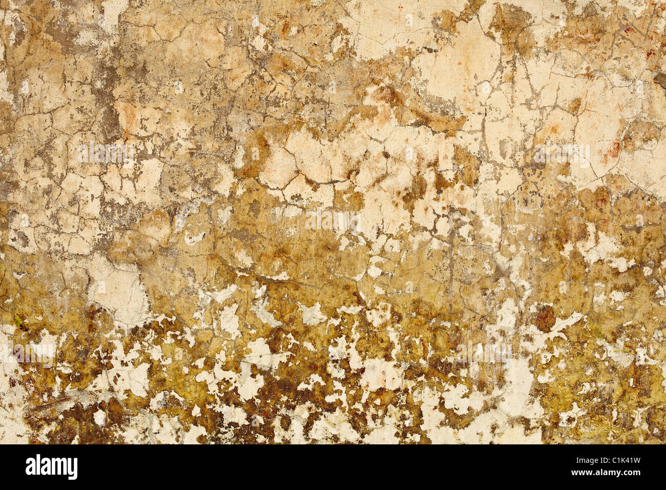 Old dirty nasty plaster on the wall surface Stock Photo - Alamy