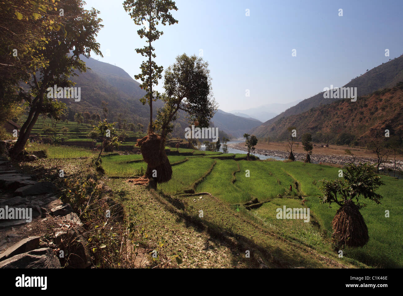 Nepali landscape Nepal Himalaya Stock Photo - Alamy