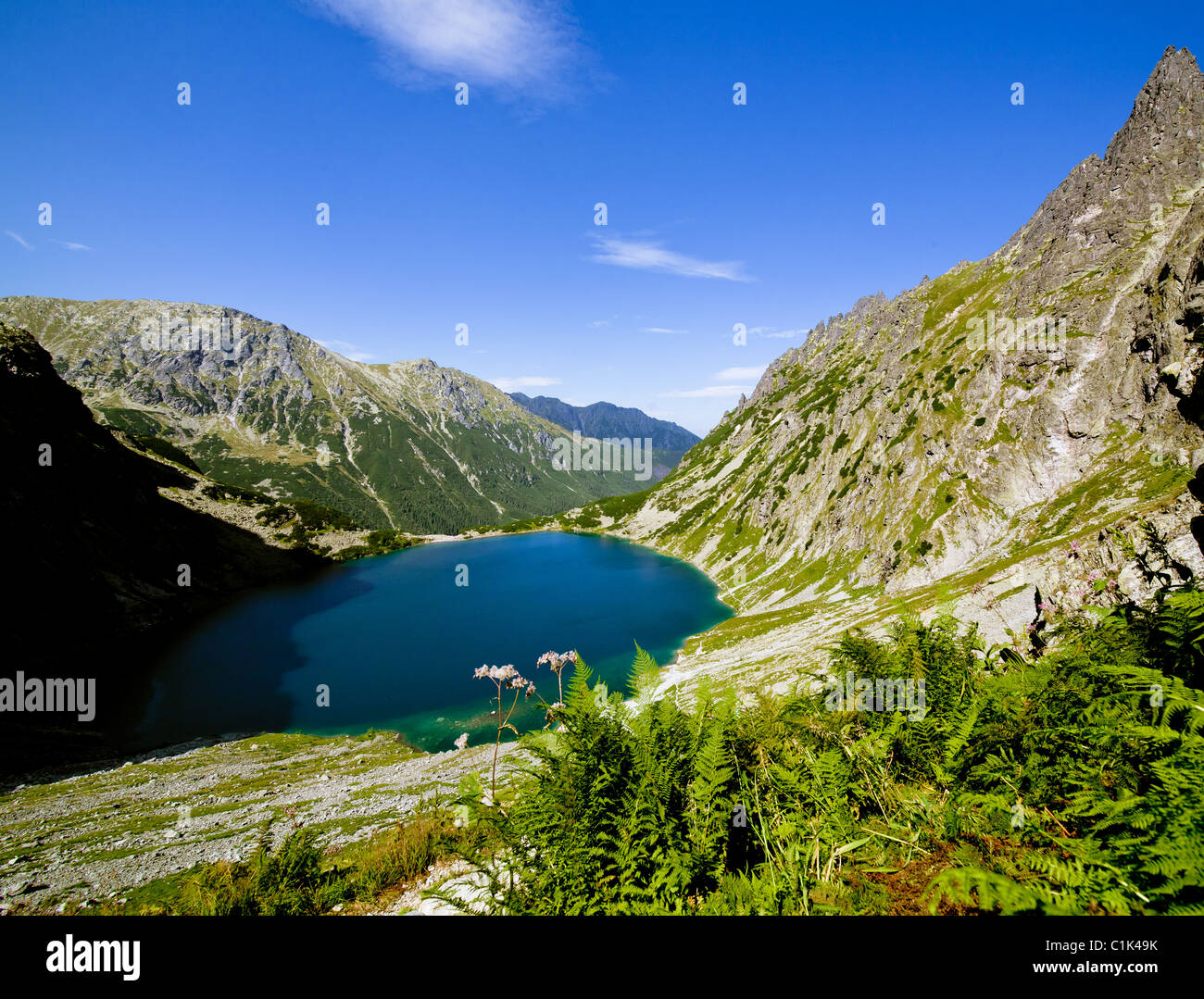 Summer mountain landscape in the Polish Tatry Stock Photo - Alamy
