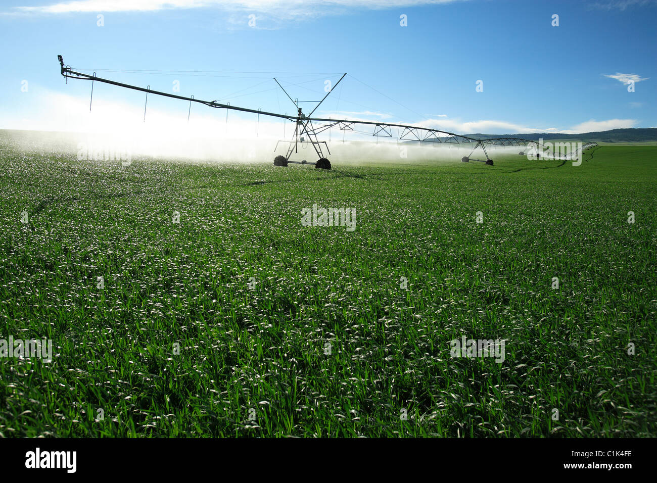 A center pivot sprinkler watering a farm field Stock Photo - Alamy