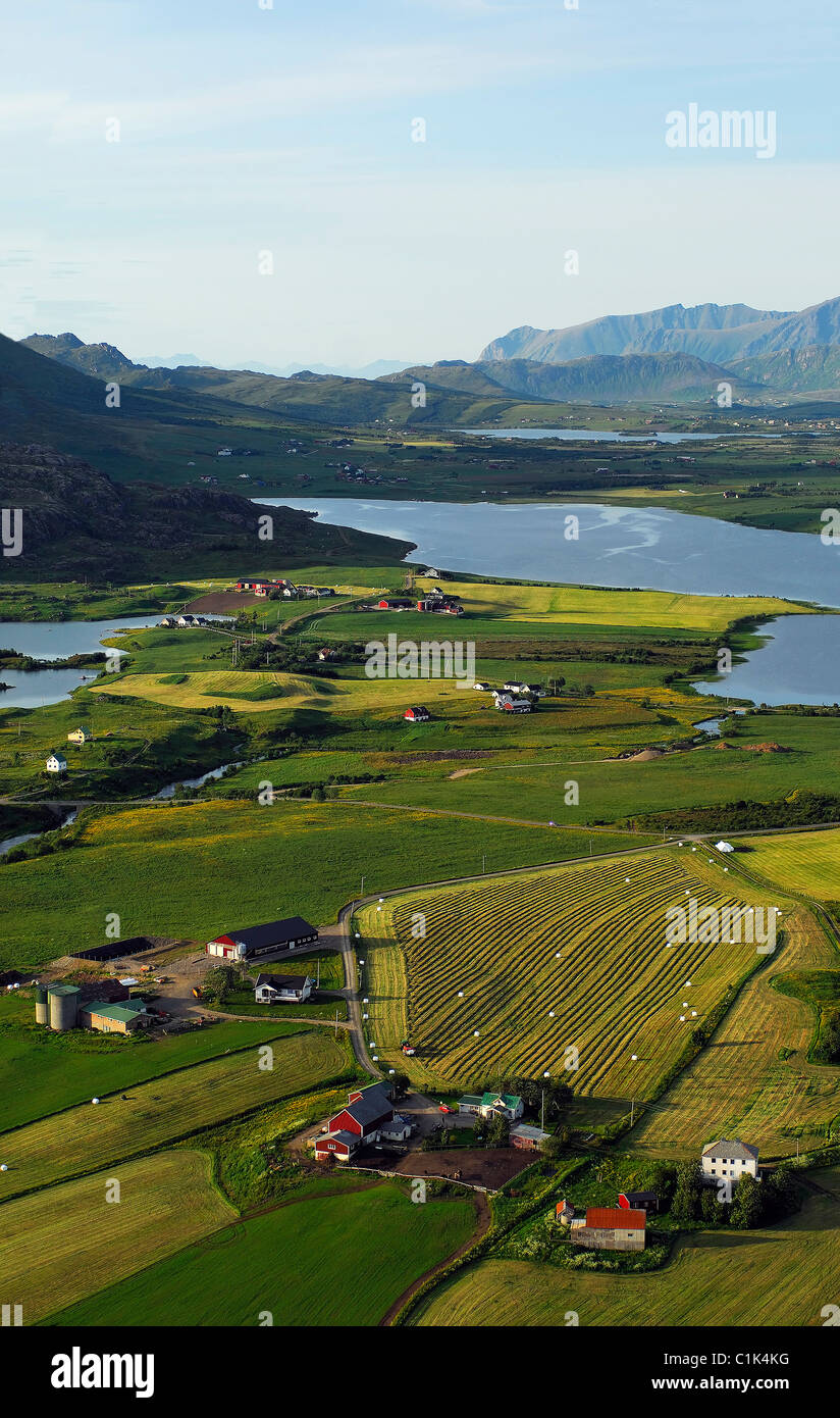 Norway, Nordland, Lofoten Islands, fields on Vestvagoy Island (aerial ...