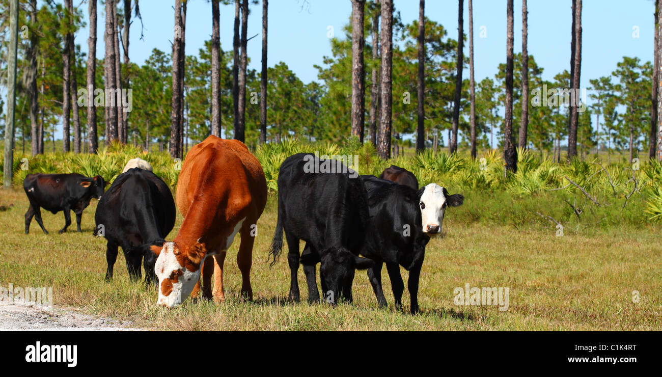 Military base farming hi-res stock photography and images - Alamy