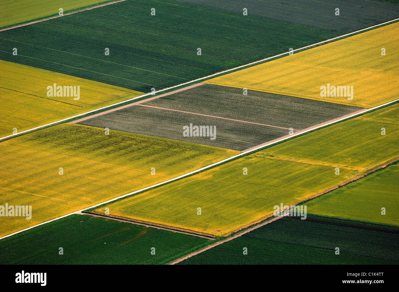 Netherlands, Northern Holland, fields (aerial view Stock Photo - Alamy