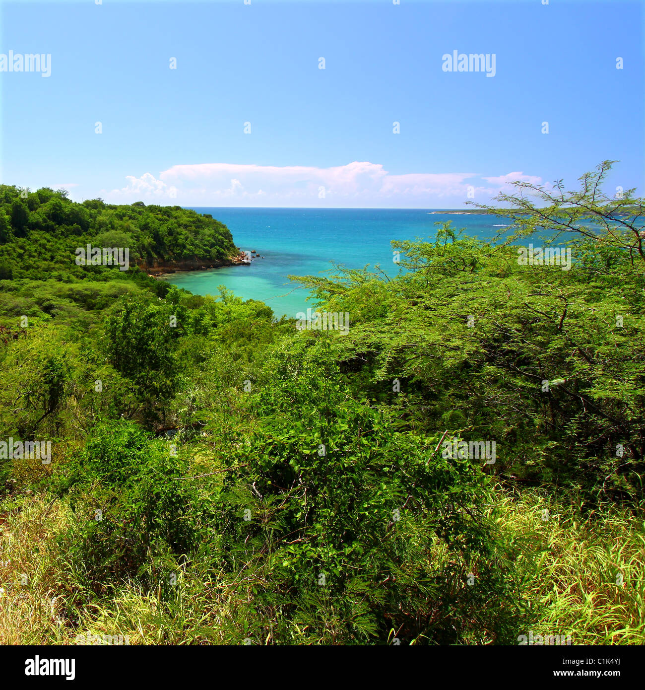 Guanica Reserve - Puerto Rico Stock Photo - Alamy
