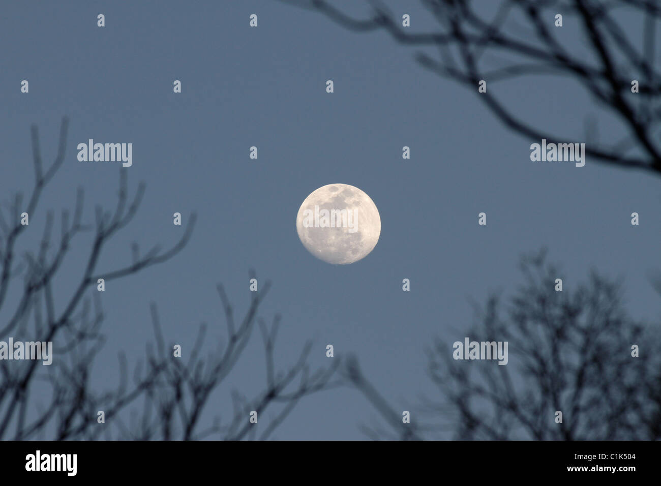 Full moon over West Texas Stock Photo - Alamy