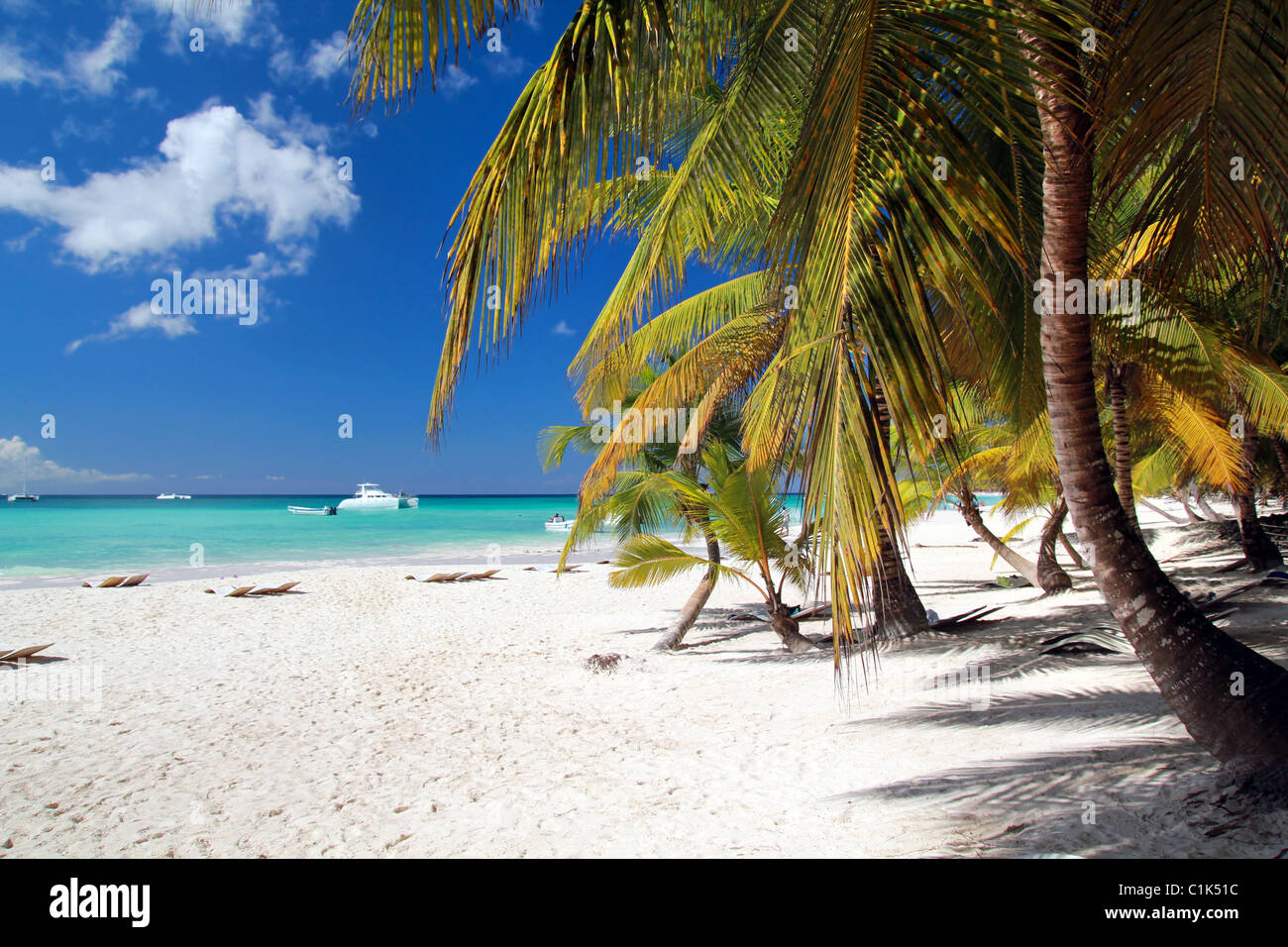 Caribbean beach with white sand Stock Photo - Alamy