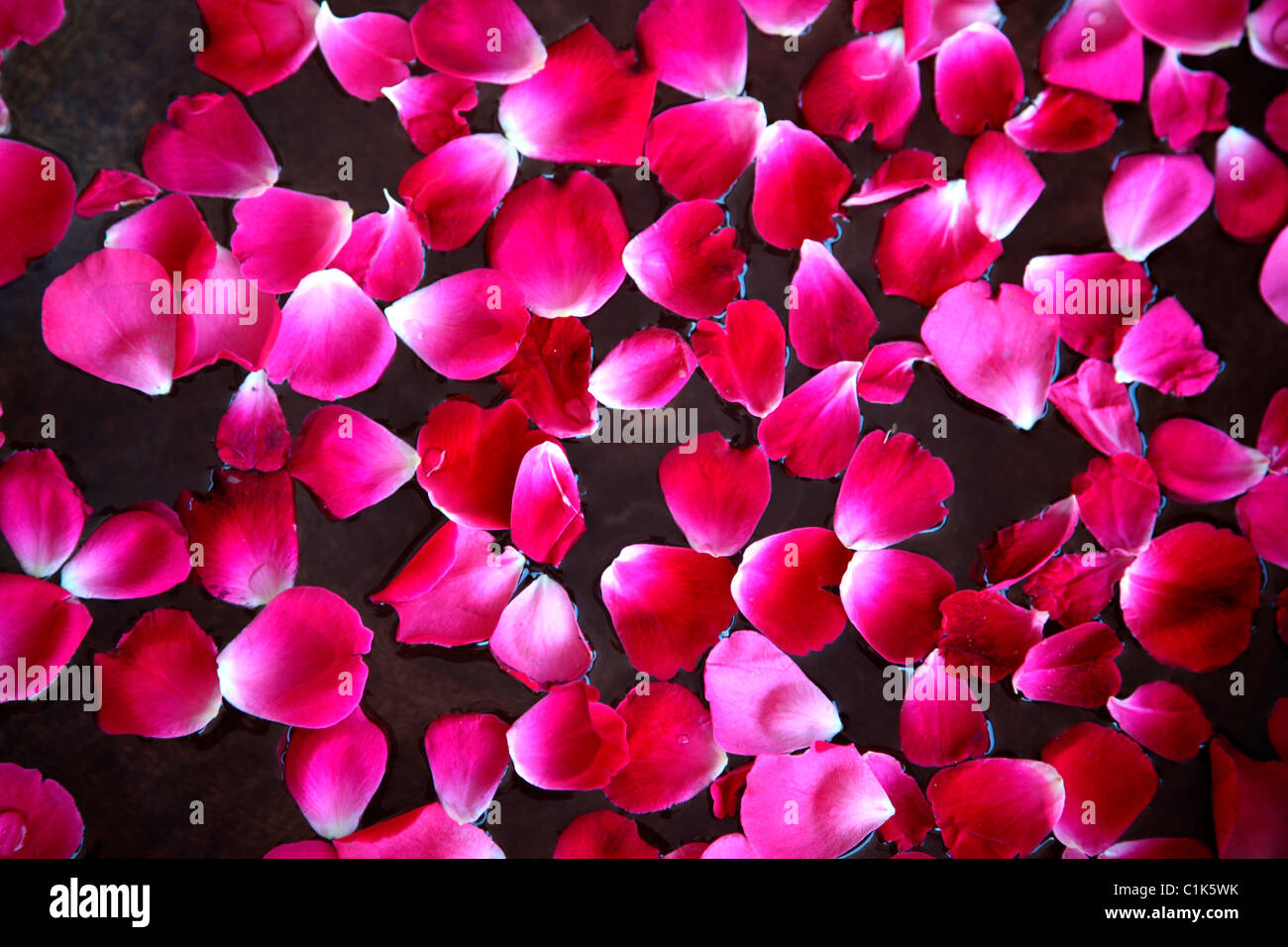 Floating rose petals Stock Photo - Alamy
