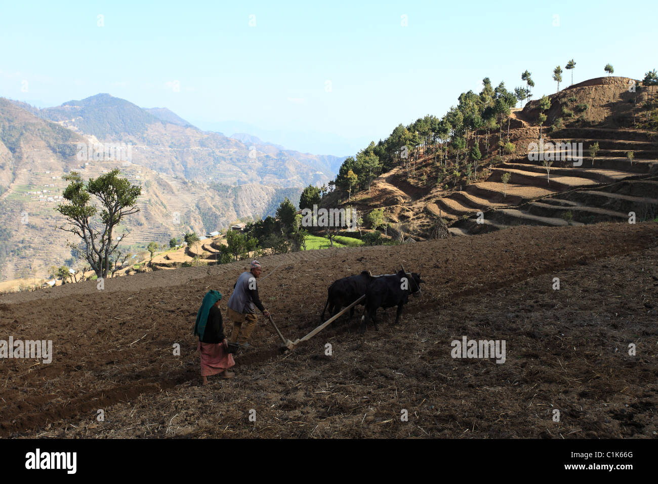 Nepal Agriculture High Resolution Stock Photography and Images - Alamy