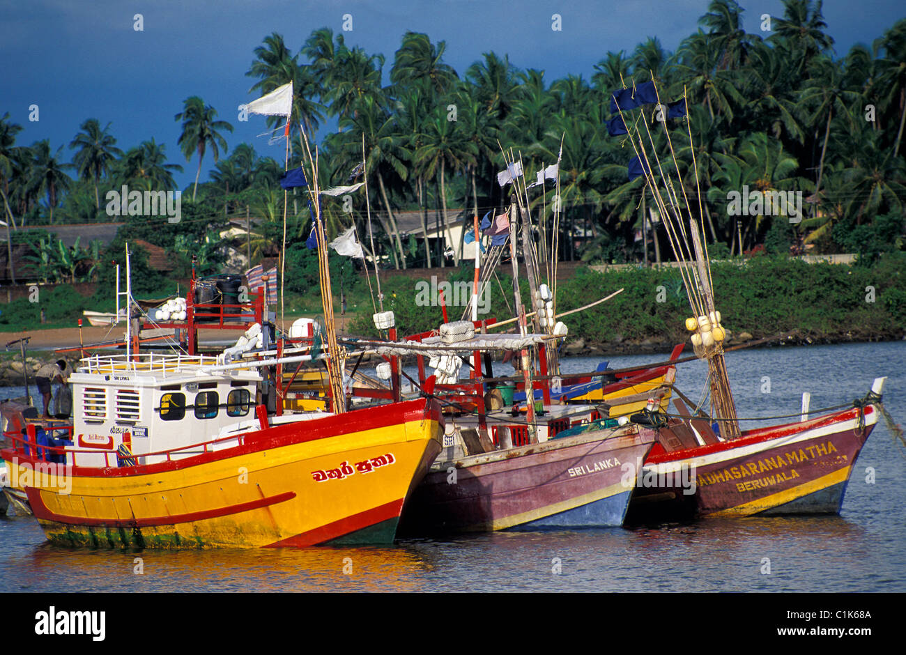 Sri Lanka, South region, Beruwela Stock Photo - Alamy