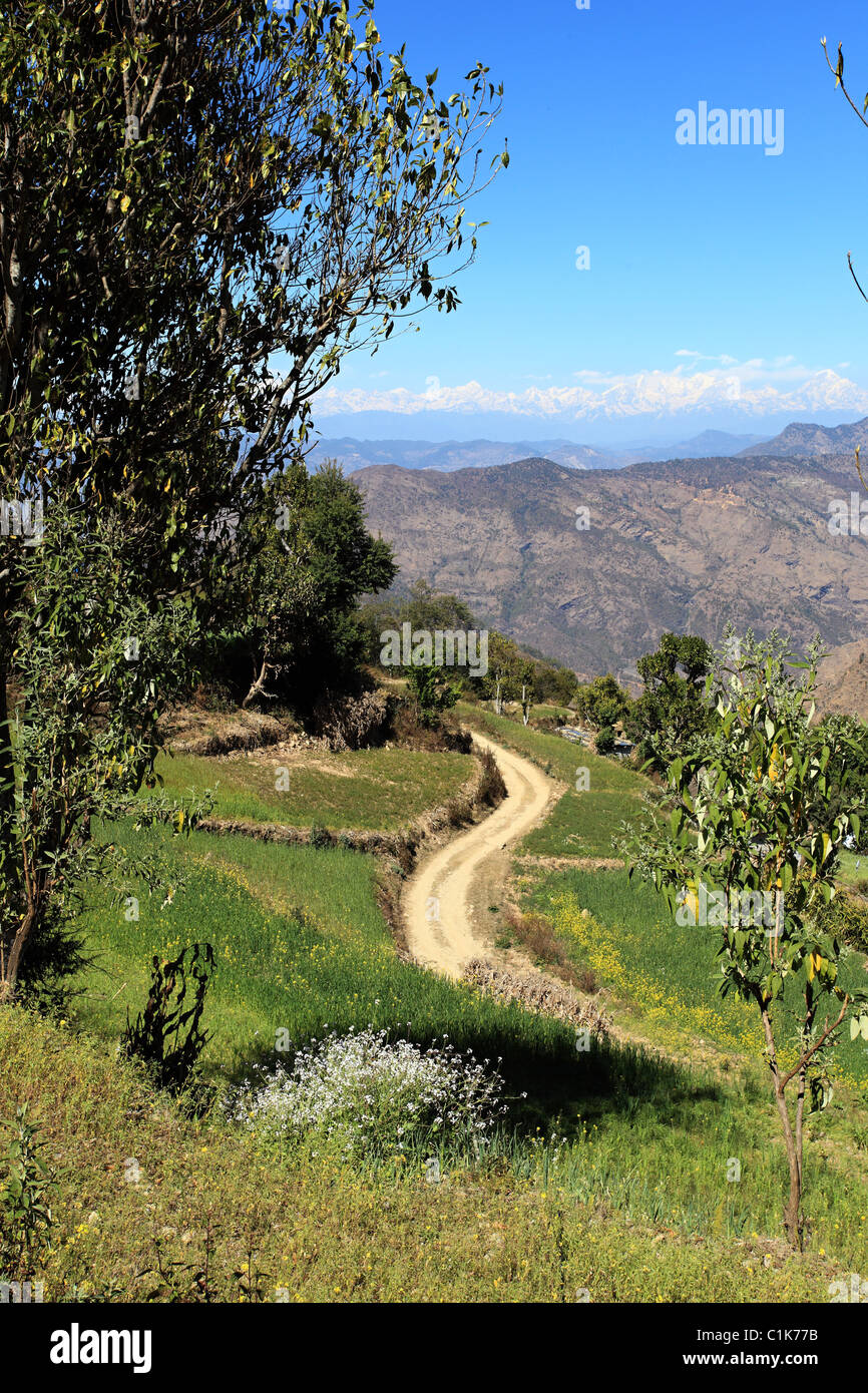 Nepali landscape Nepal Himalaya Stock Photo - Alamy