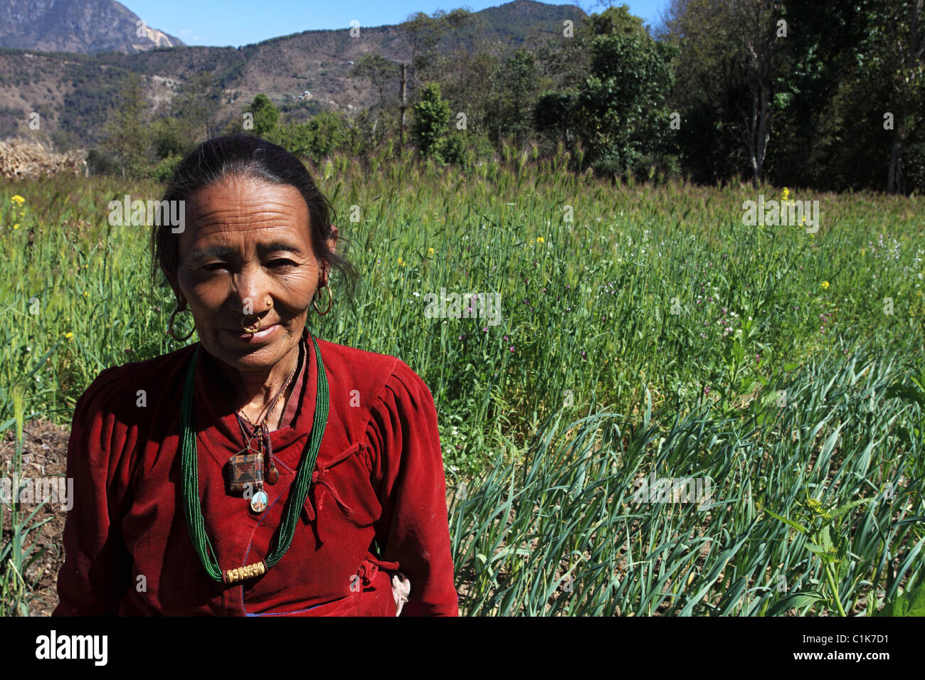Nepali woman in the Himalaya Nepal Stock Photo - Alamy
