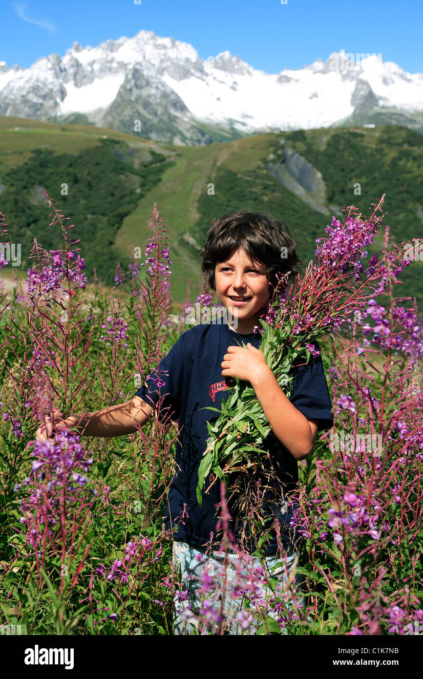 Boy picking flowers hi-res stock photography and images - Alamy