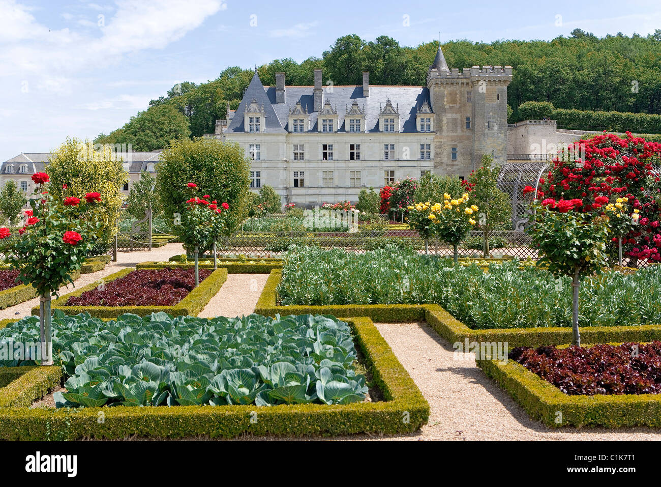 France, Indre et Loire, Villandry, historic Villandry castle (owners ...