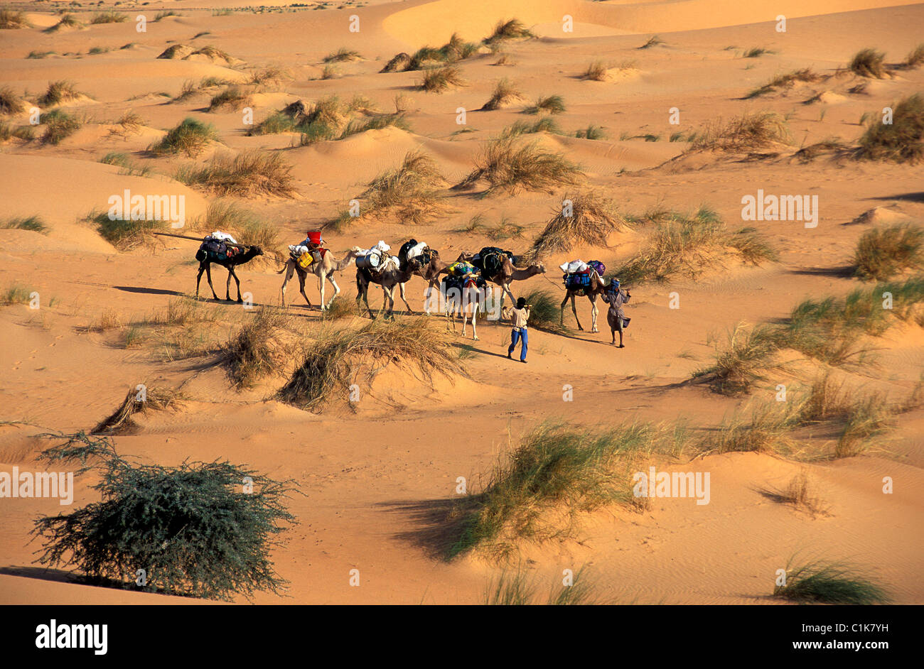 Mauritania desert hi-res stock photography and images - Alamy