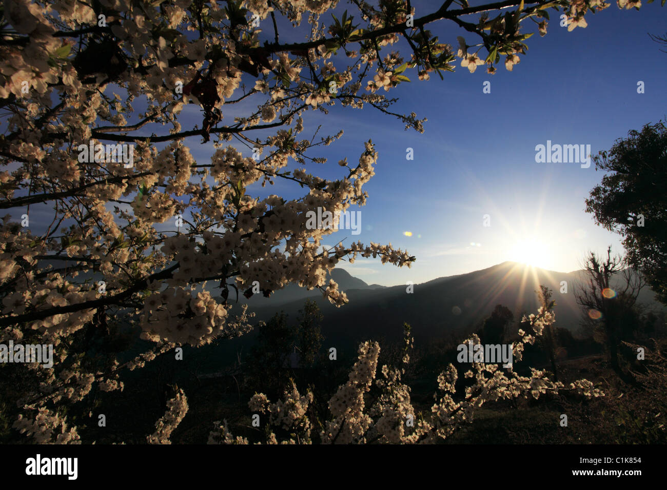 Nepali landscape Nepal Himalaya Stock Photo - Alamy