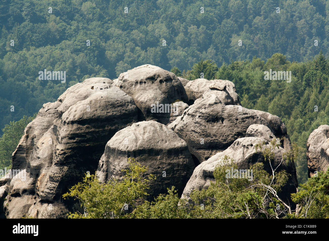 Saxony park in Germany with stones Stock Photo - Alamy