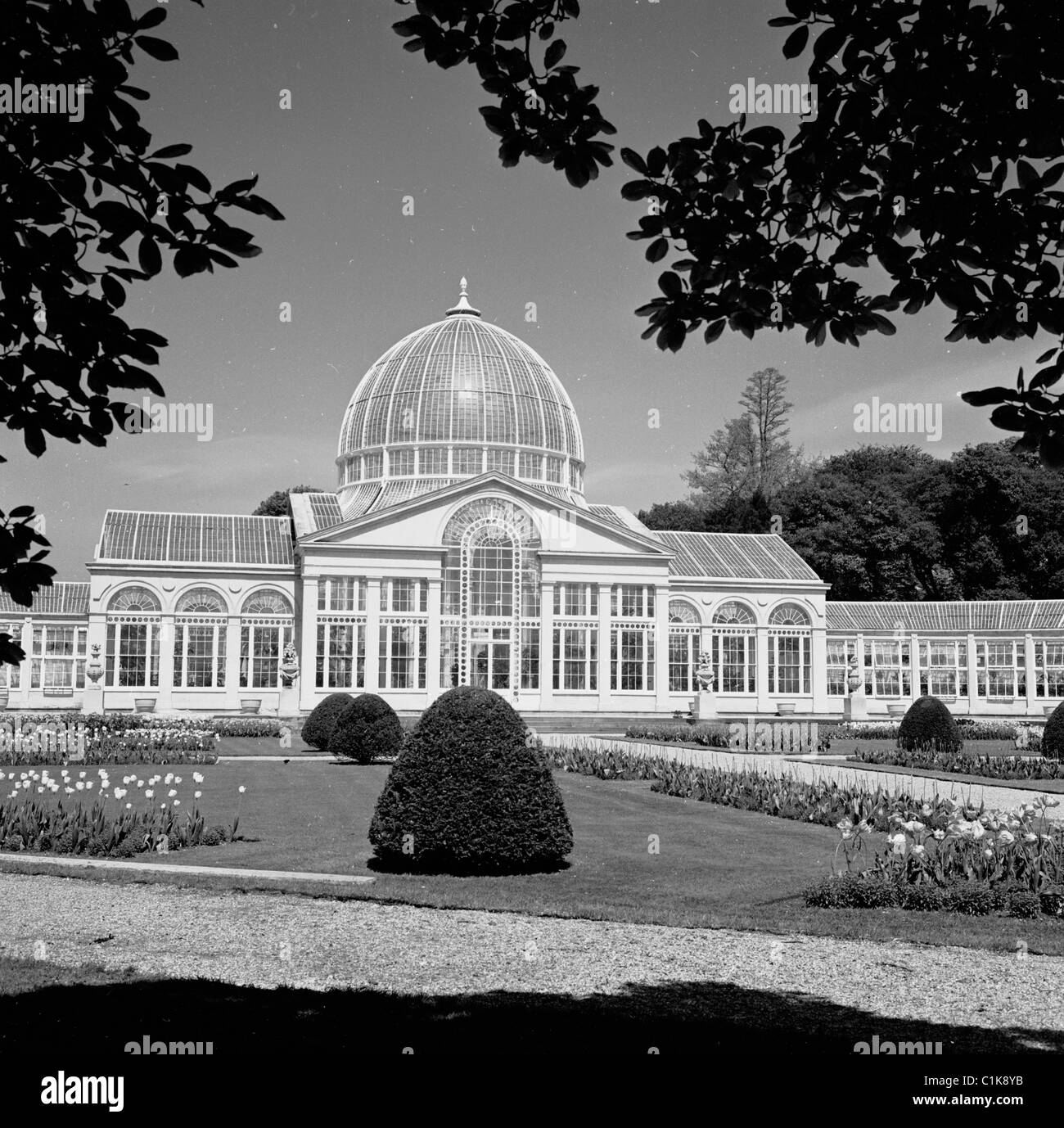 1950s, historical, the Orangery at the Royal Botanic Gardens at Kew ...