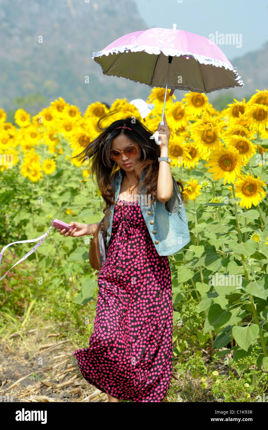 girl with umbrella walking through sunflower field , sunflower fields ...
