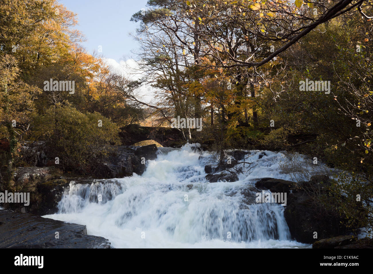 Bethesda, Gwynedd, North Wales, UK, Britain. Waterfall on fast flowing ...