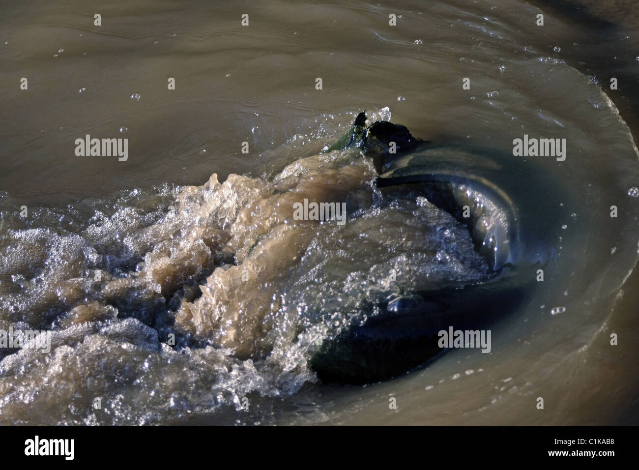 Moving river water hi-res stock photography and images - Alamy