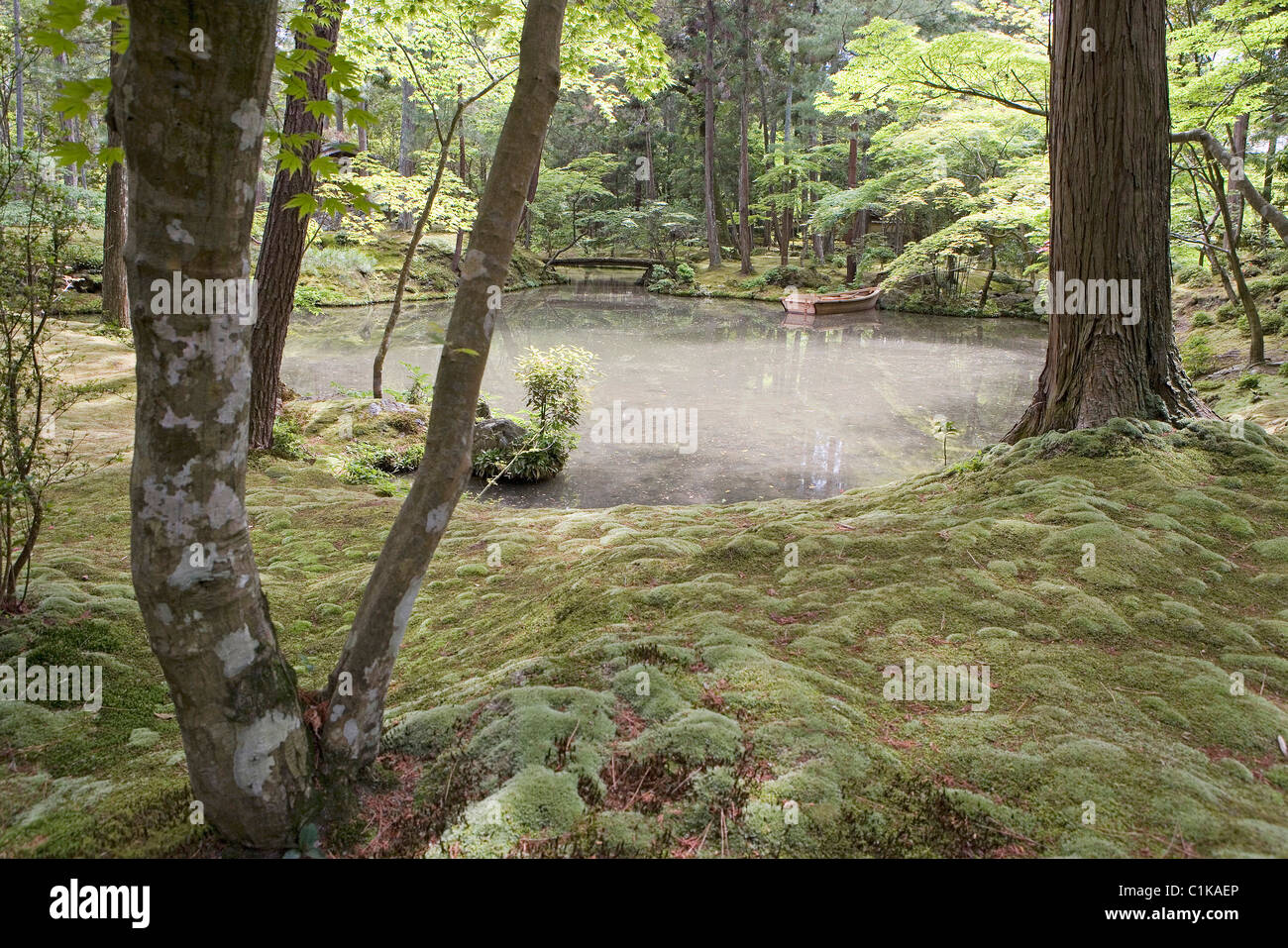 Japan, Kansai, Kyoto, The Kokedera buddhist temple and park renowned ...