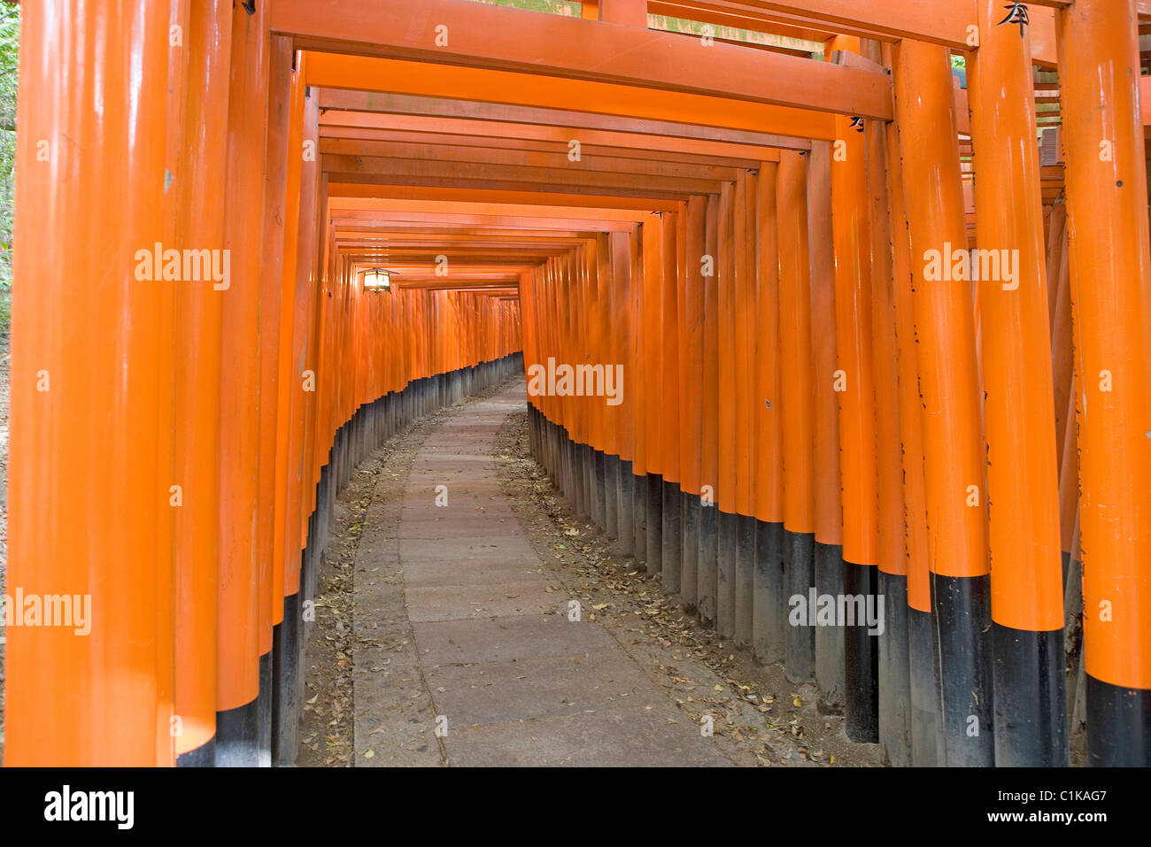 Japan kyoto fumishi inari temple hi-res stock photography and images ...