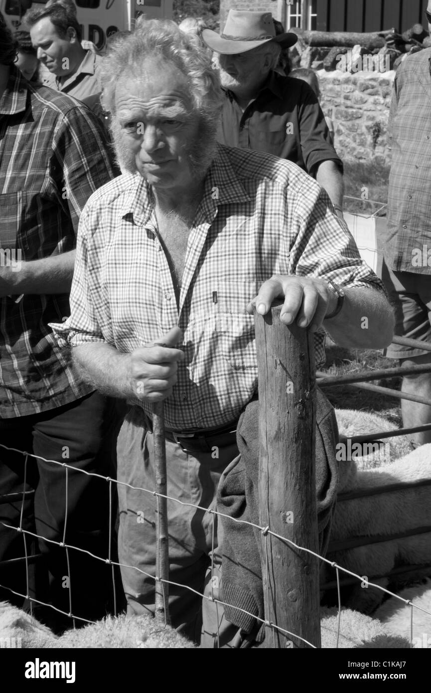 Priddy sheep fair hi-res stock photography and images - Alamy