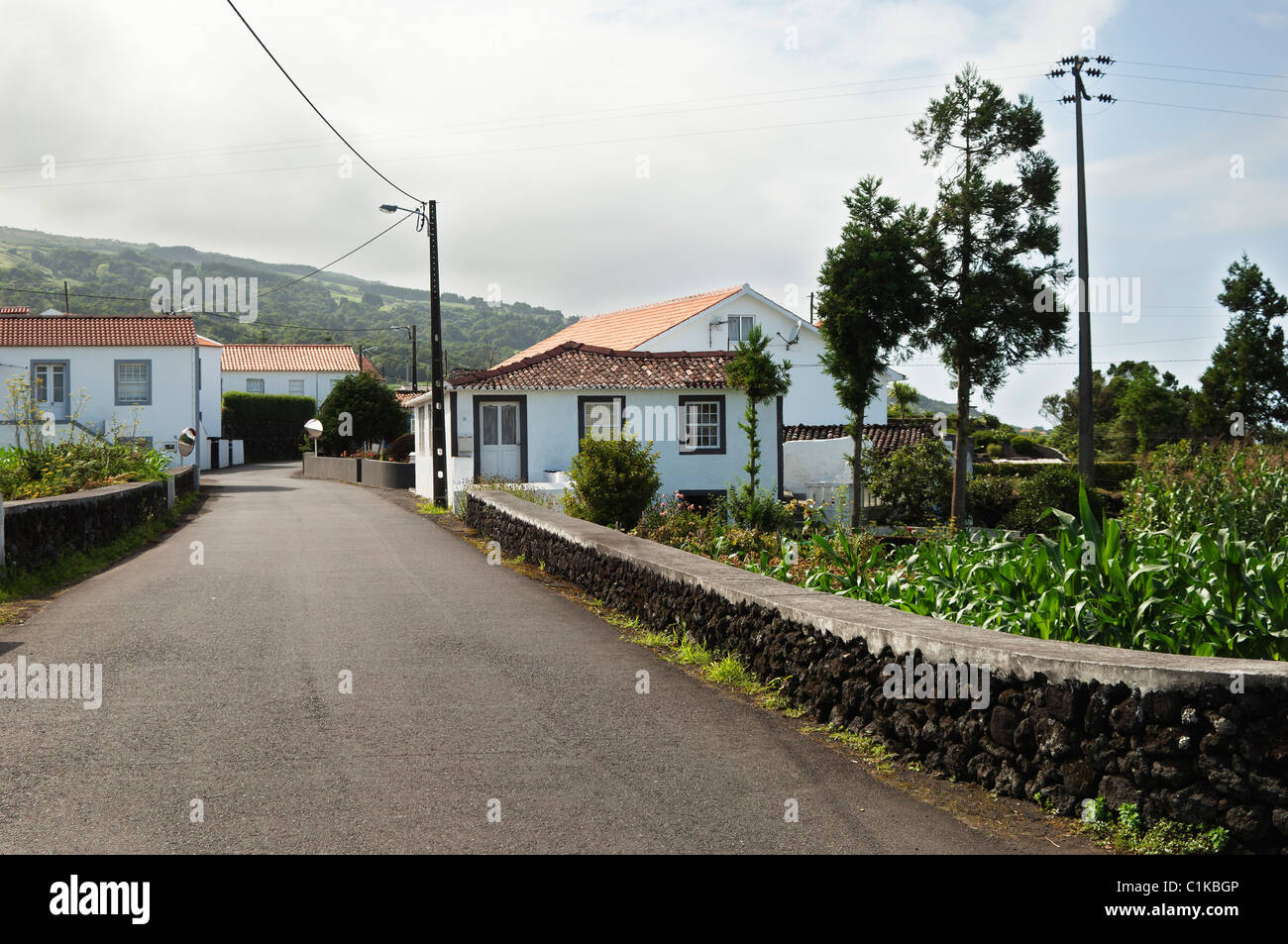 Country road in Pico island, Azores Stock Photo - Alamy