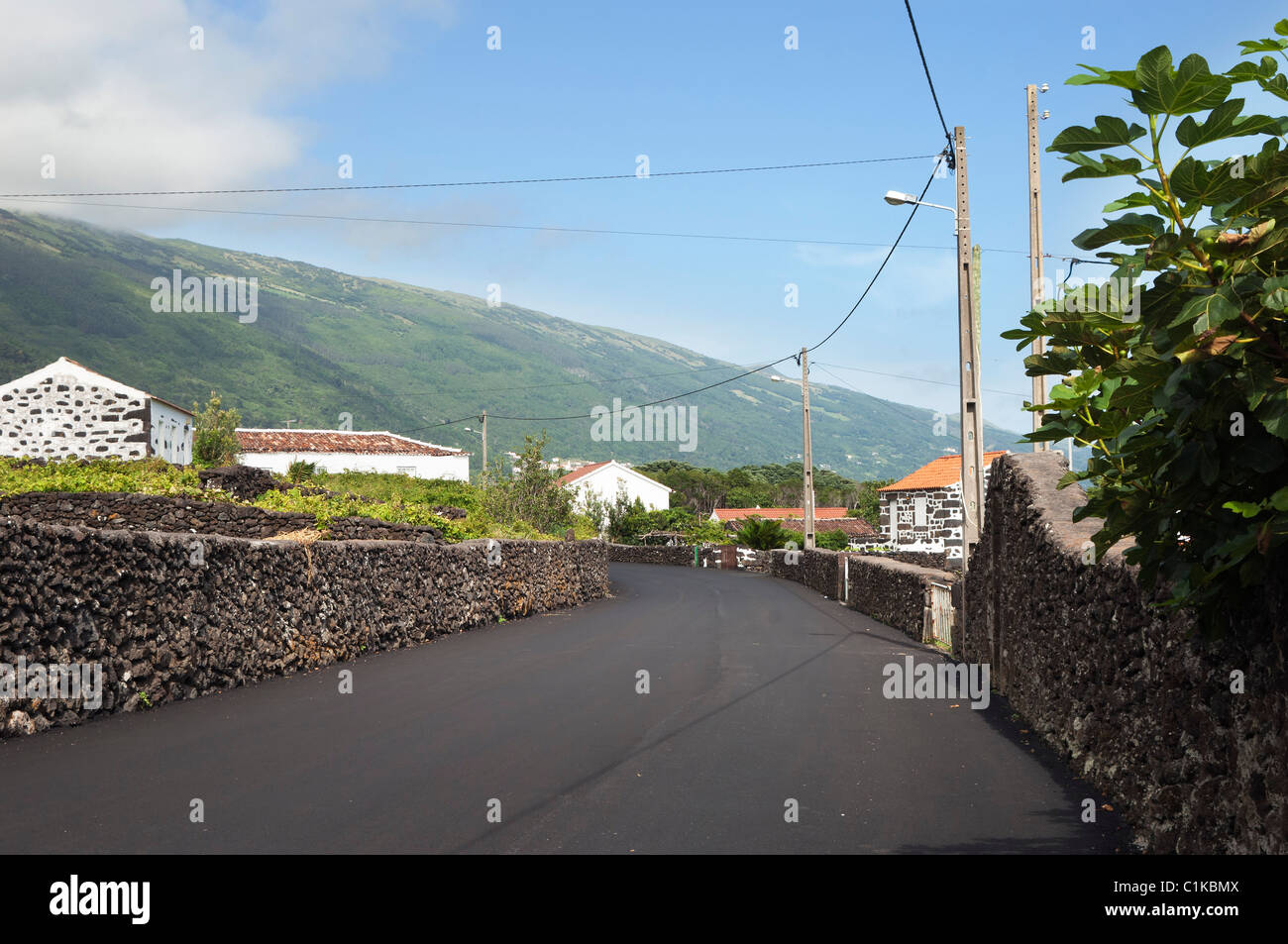 Country road in Pico island, Azores Stock Photo - Alamy
