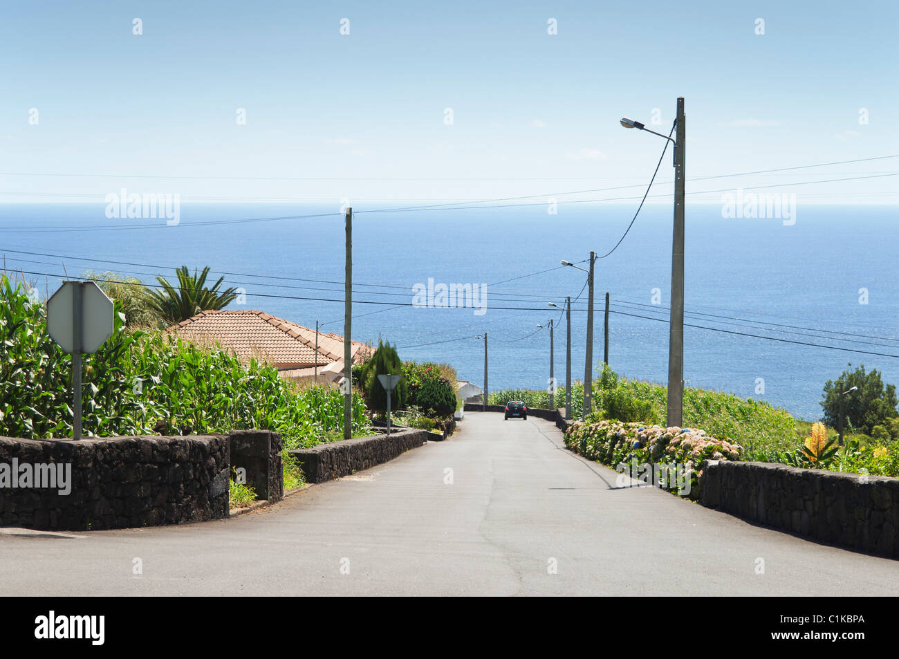 Country road in Pico island, Azores Stock Photo - Alamy