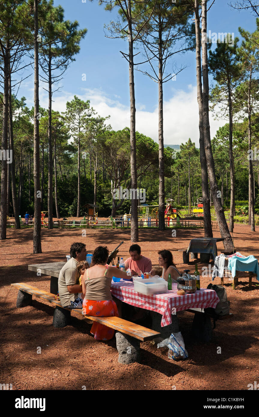 Family picnic in a park, Pico island, Azores Stock Photo - Alamy