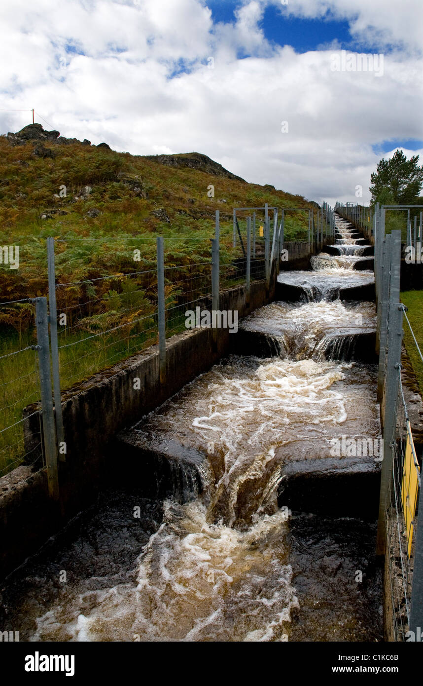 Fish ladder hi-res stock photography and images - Alamy
