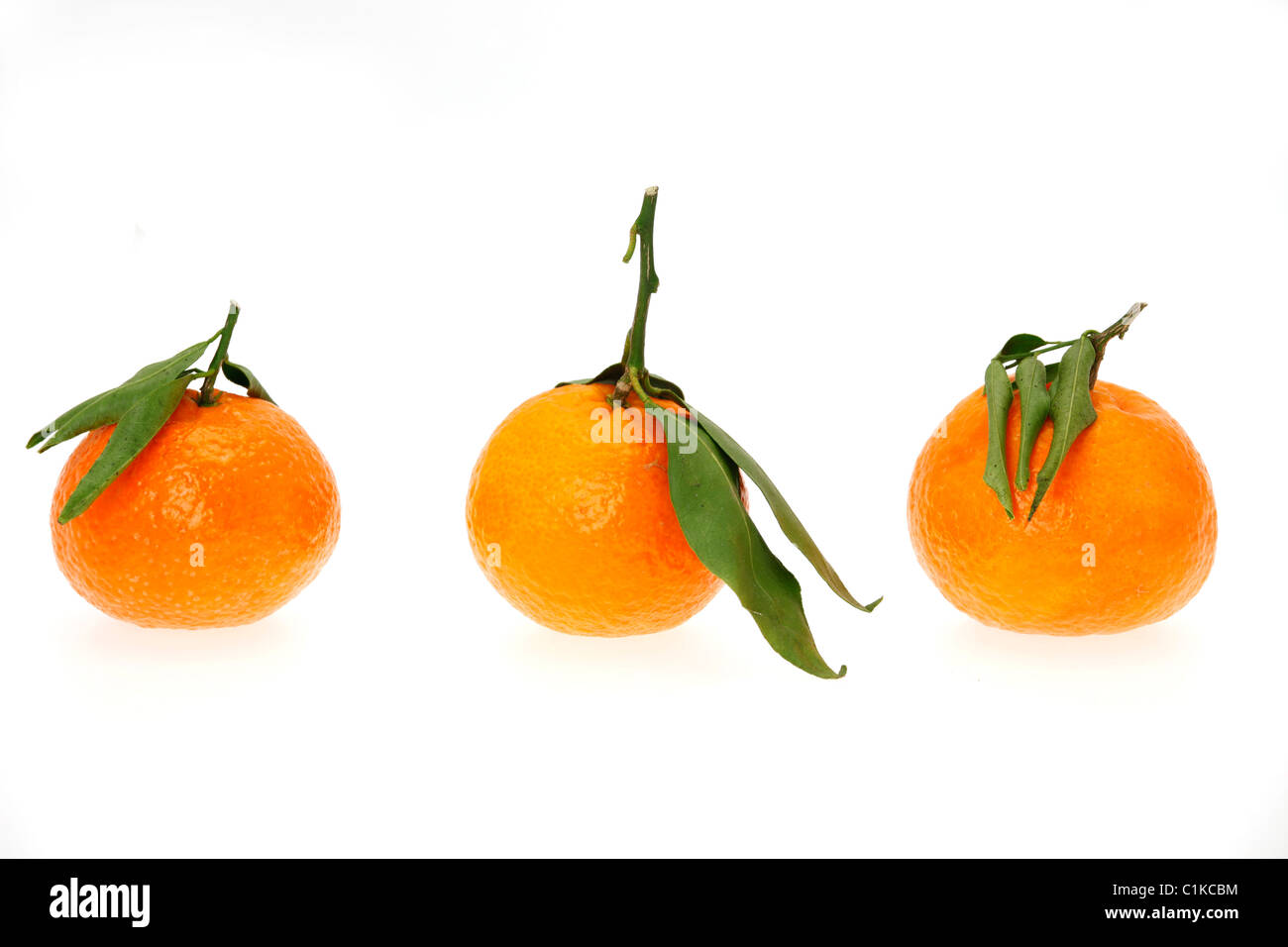 Three fresh tangerines with a white background Stock Photo - Alamy