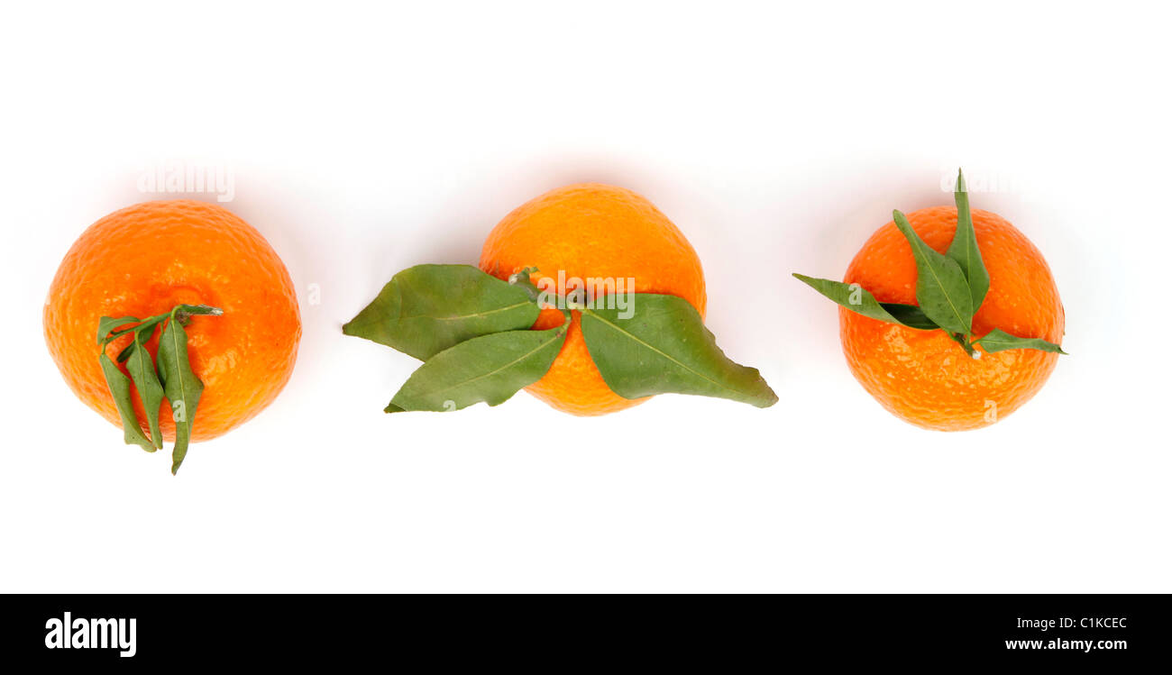 Three fresh tangerines with a white background viewed from above Stock ...