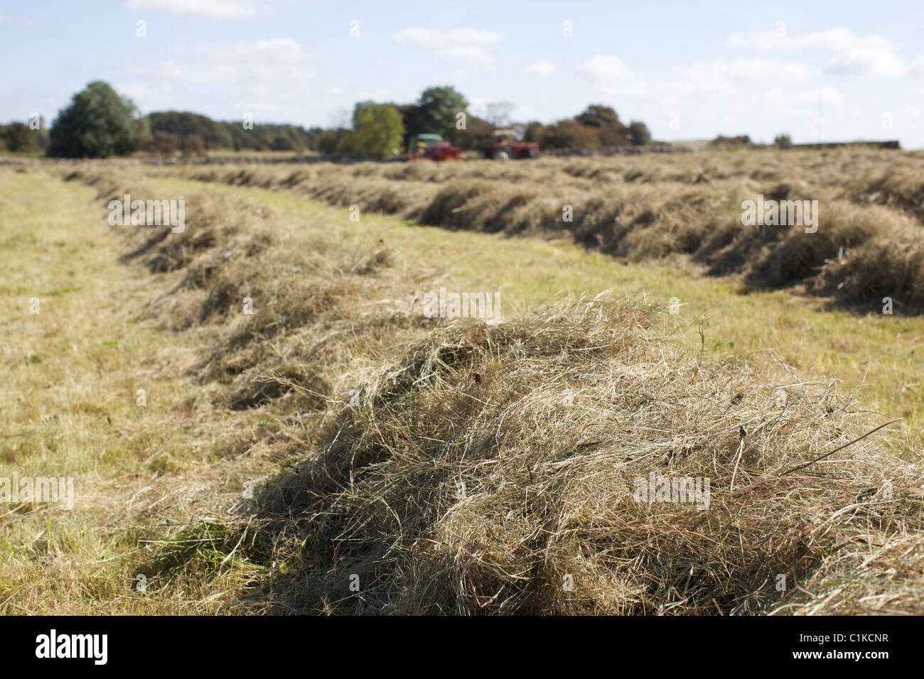 Farming haymaking hi-res stock photography and images - Alamy